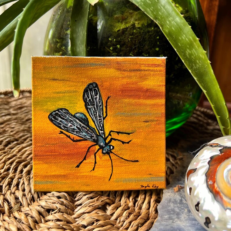 Mud Dauber - Etsy
