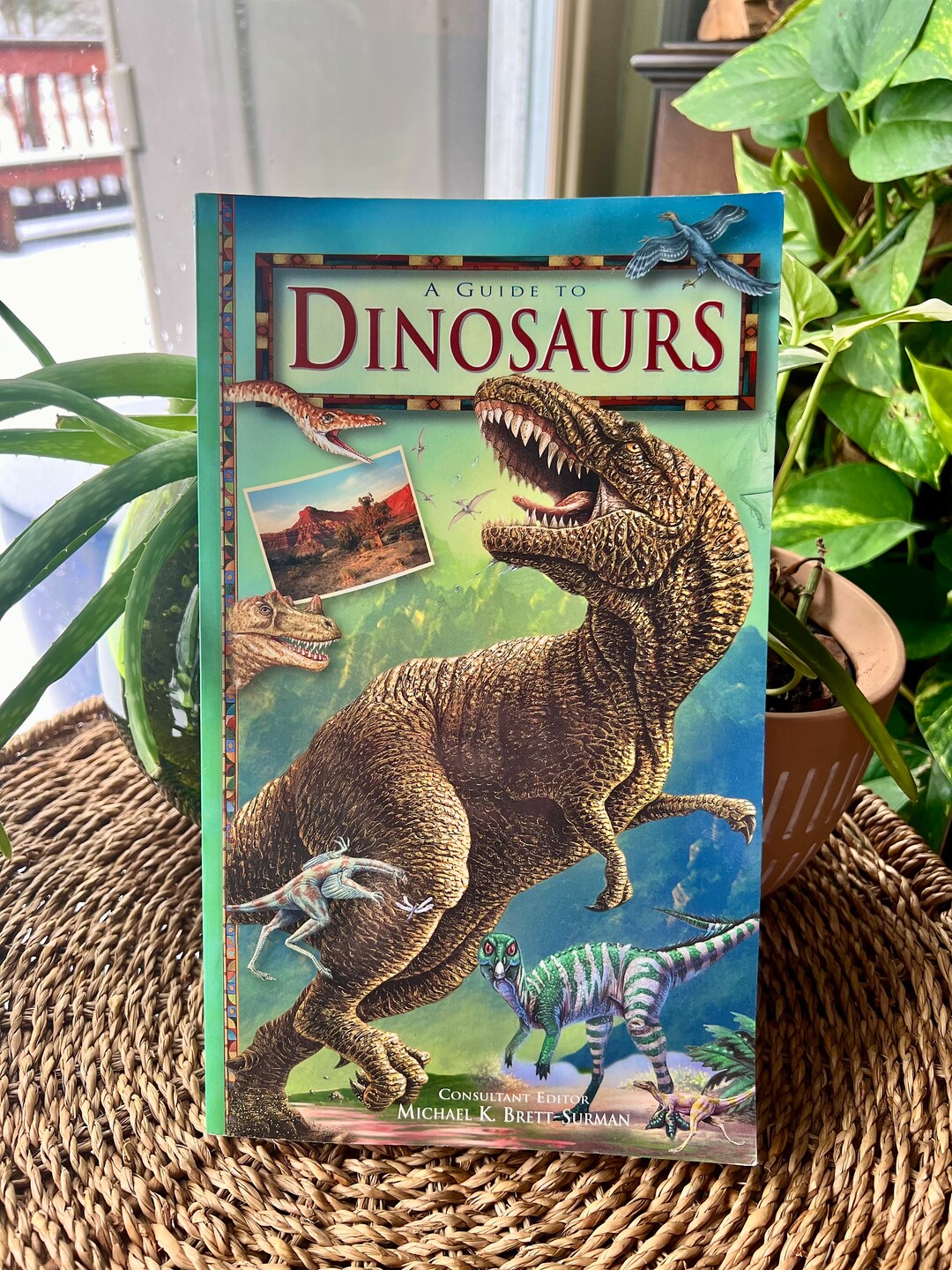 A Guide to Dinosaurs Book With Mini Dinos - Etsy