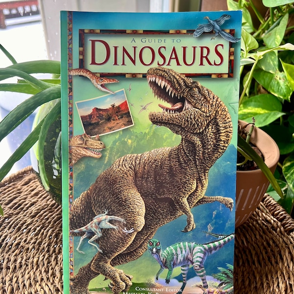 Dinosaurs Book - Etsy