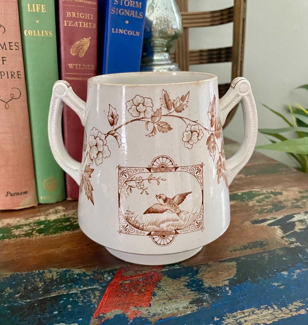 Brown Transferware Antique Biscuit Jar J F Wileman Foley Potteries 1872 ...