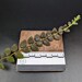 Columnea Gloriosa [cutting] - Etsy