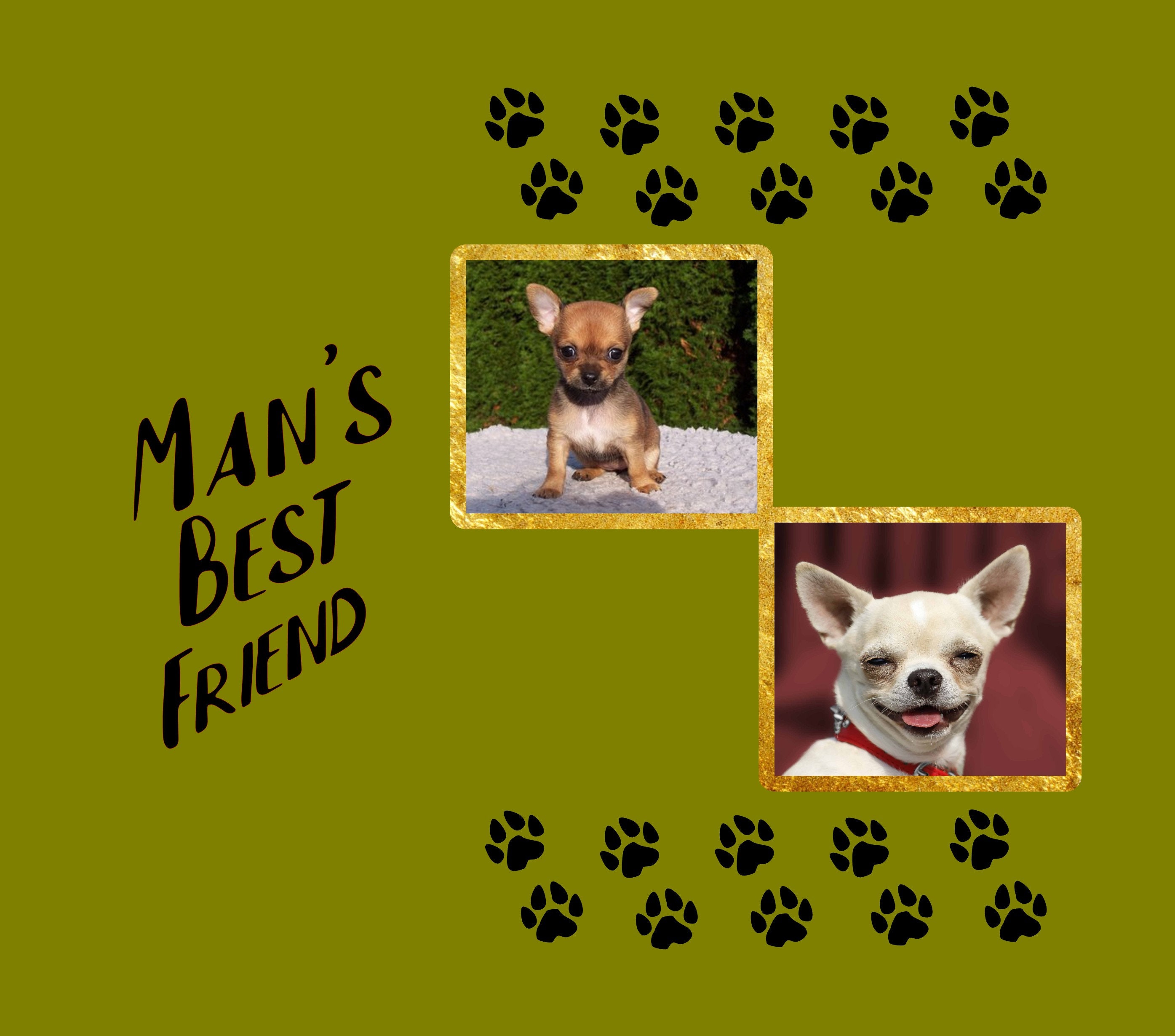 Man's Best Friend SVG Design - Etsy