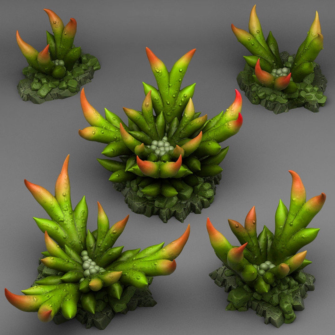 Creepy Bromeliad-fantastic Plants and Rocks-3d Printed Resin Rpg ...