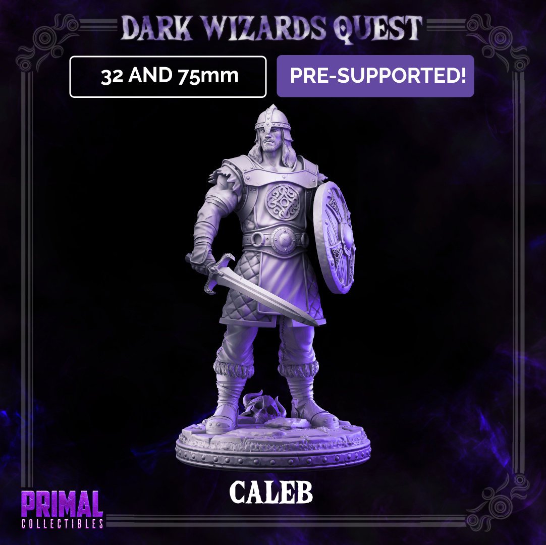 Caleb (scout-swordsman)-masters of Dungeons Quest-dark Wizards-primal ...