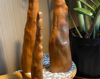 Cypress Knees - Etsy