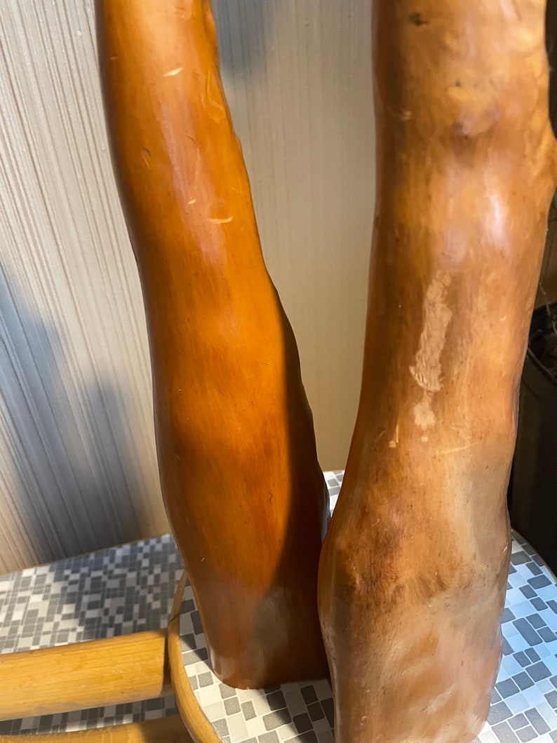 MCM Cypress Knees Decor Art Set of Three Wood Swamp Marshlands Natural ...