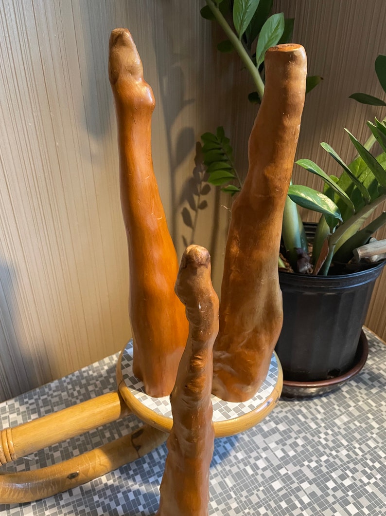 MCM Cypress Knees Decor Art Set of Three Wood Swamp Marshlands Natural ...