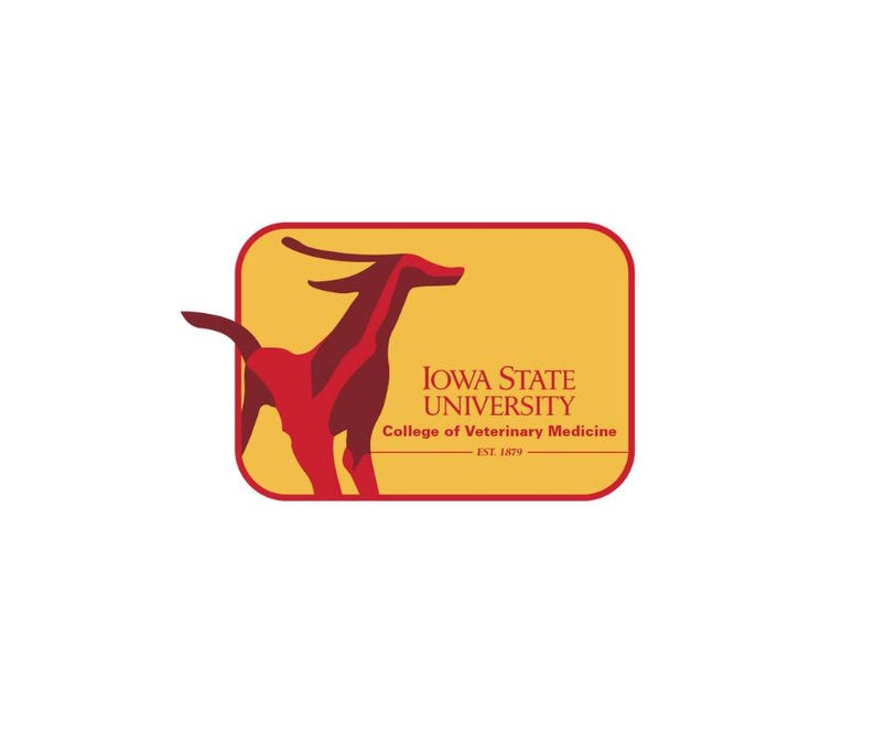Iowa State | Veterinary Medicine | Sticker - Etsy