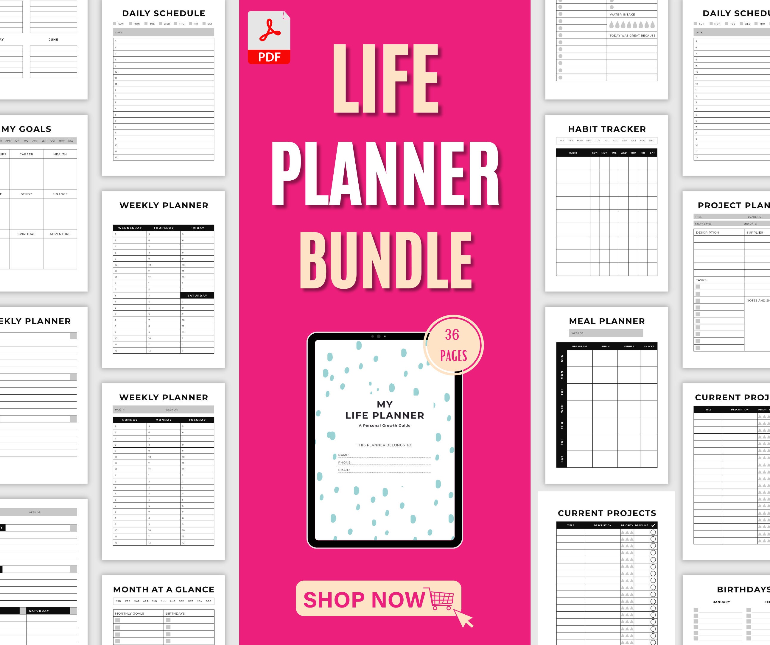 Life Planner Bundle 36 Planner Pages PDF Template Expenses Budget Meal ...