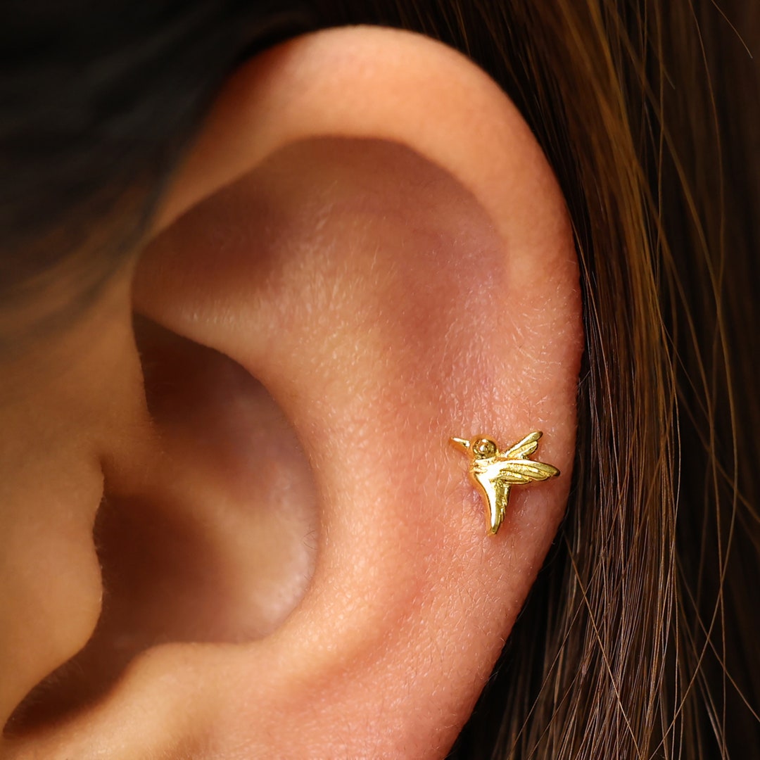 18G/16G Hummingbird Gold Labret Cartilage Studs • Tragus Stud • Conch ...