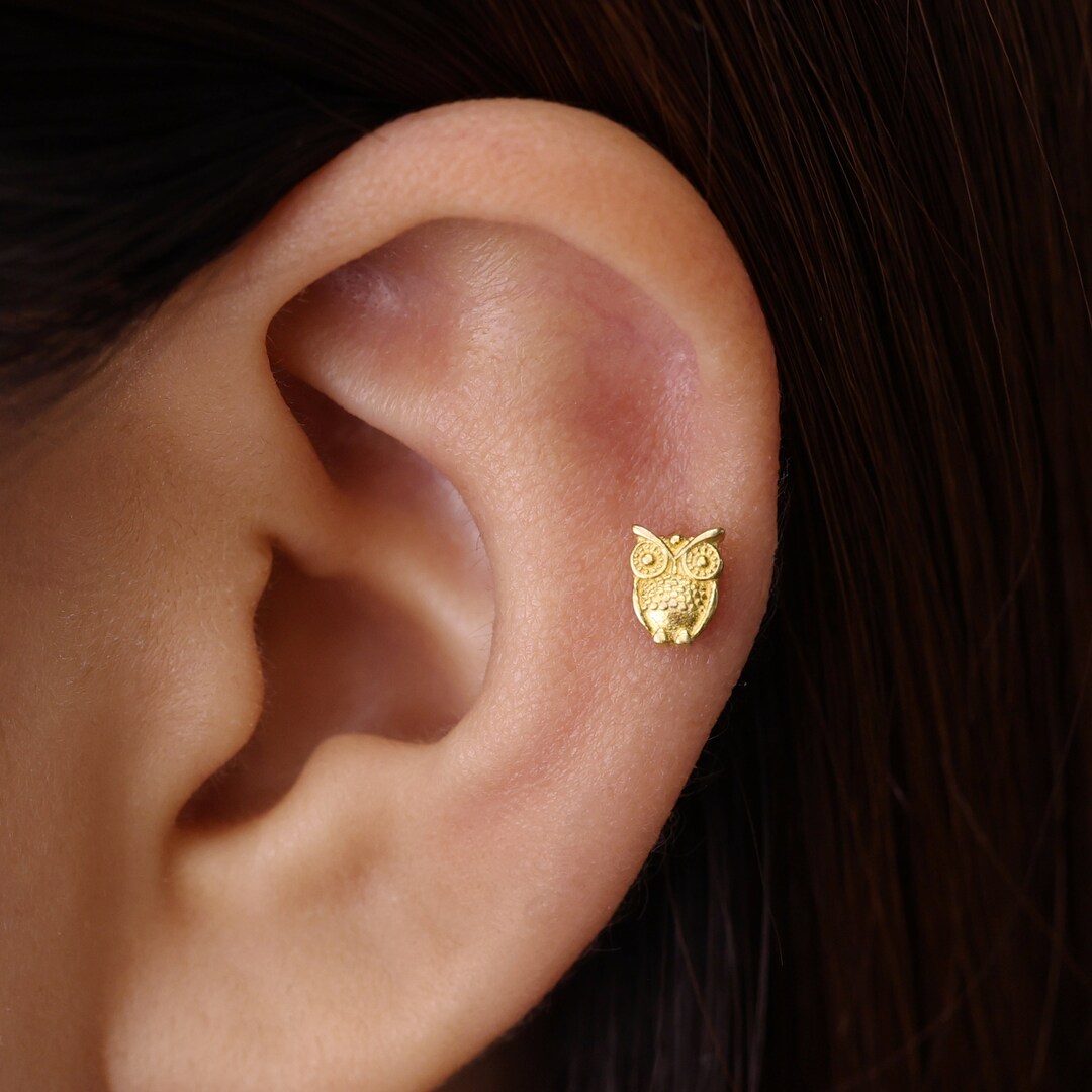18G Owl Gold Labret Cartilage Studs • Owl Tragus Stud • Conch Earring • Tragus • Helix ...