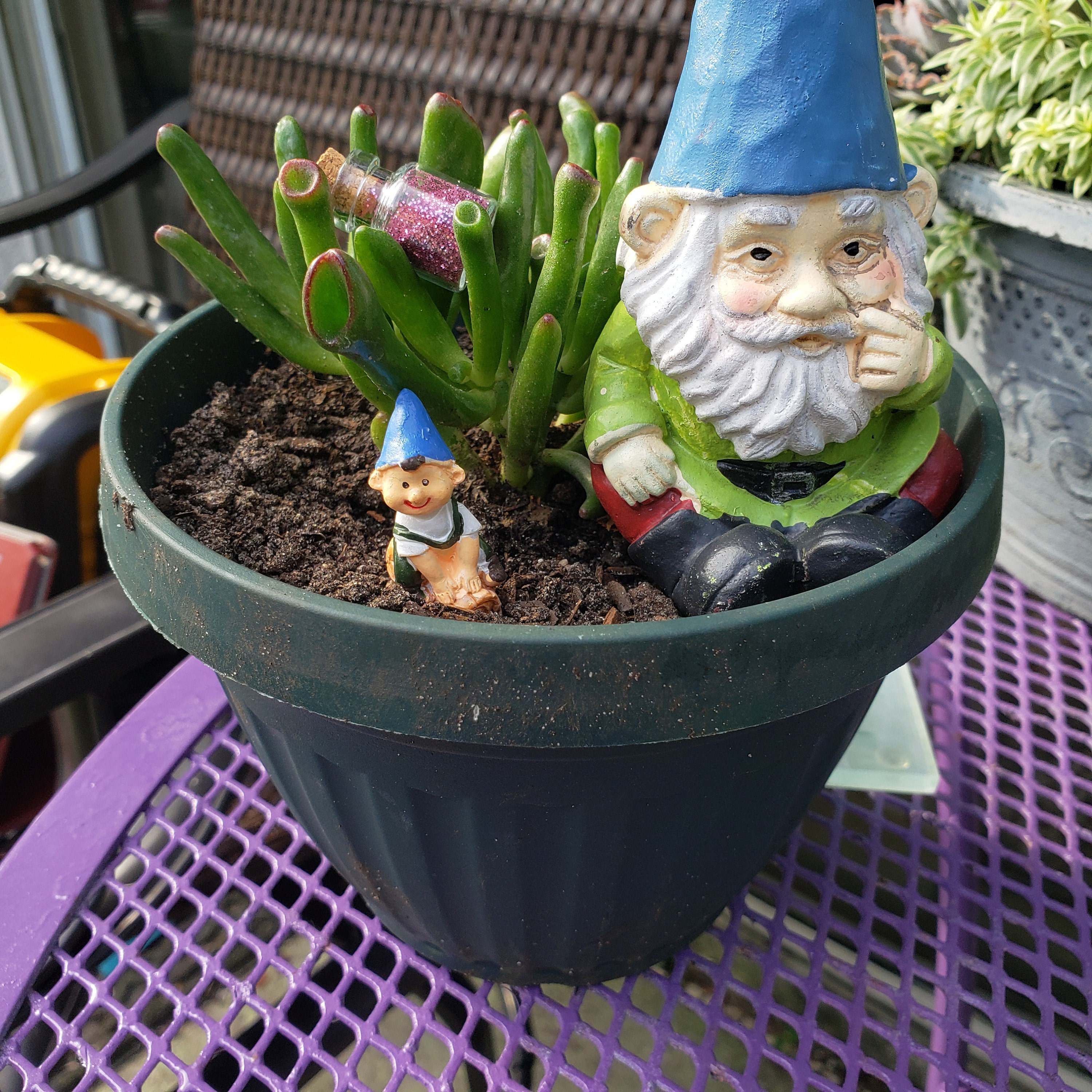 Shrek Succulent With Bigger Gnome and Small Gnome - Etsy
