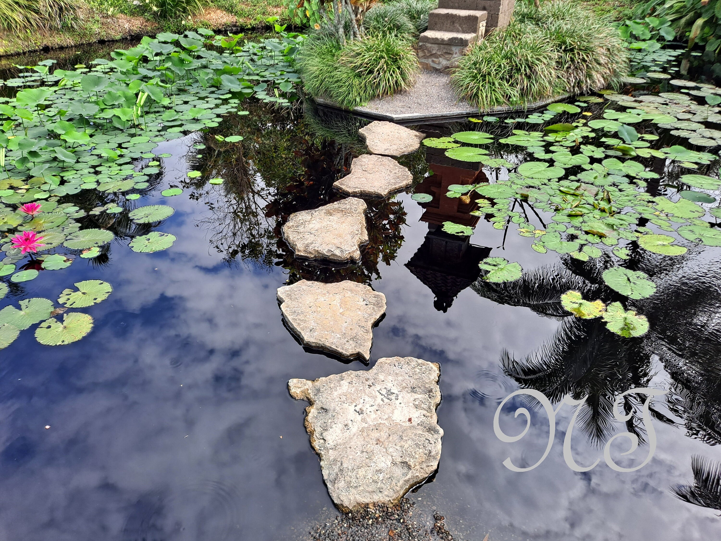 Stepping Stones in a Garden Pond Digital Print - Etsy