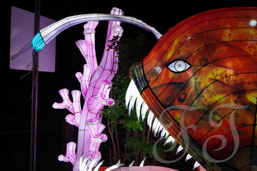 Eerie Angler Fish Chinese Lantern Digital Prints - Etsy