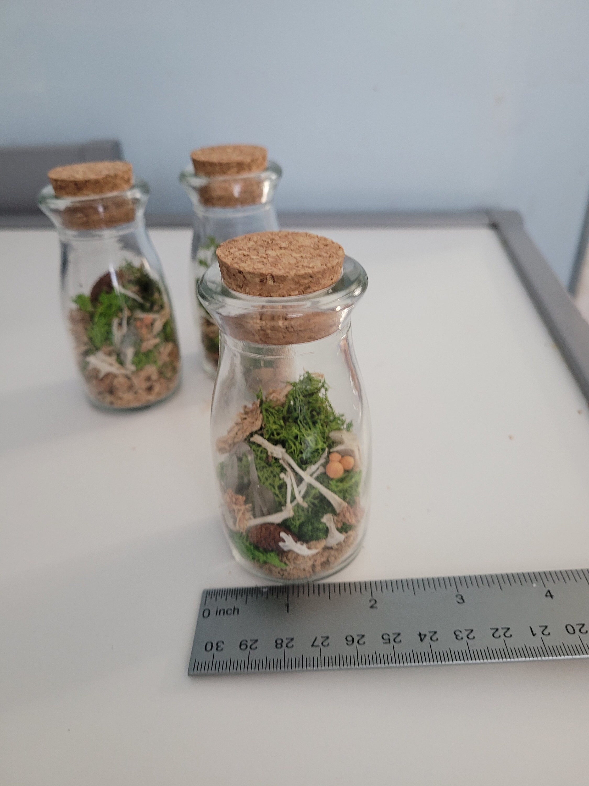 Real Bone & Skull Terrarium Oddities Jar Rodent Bone Moss Crystal ...