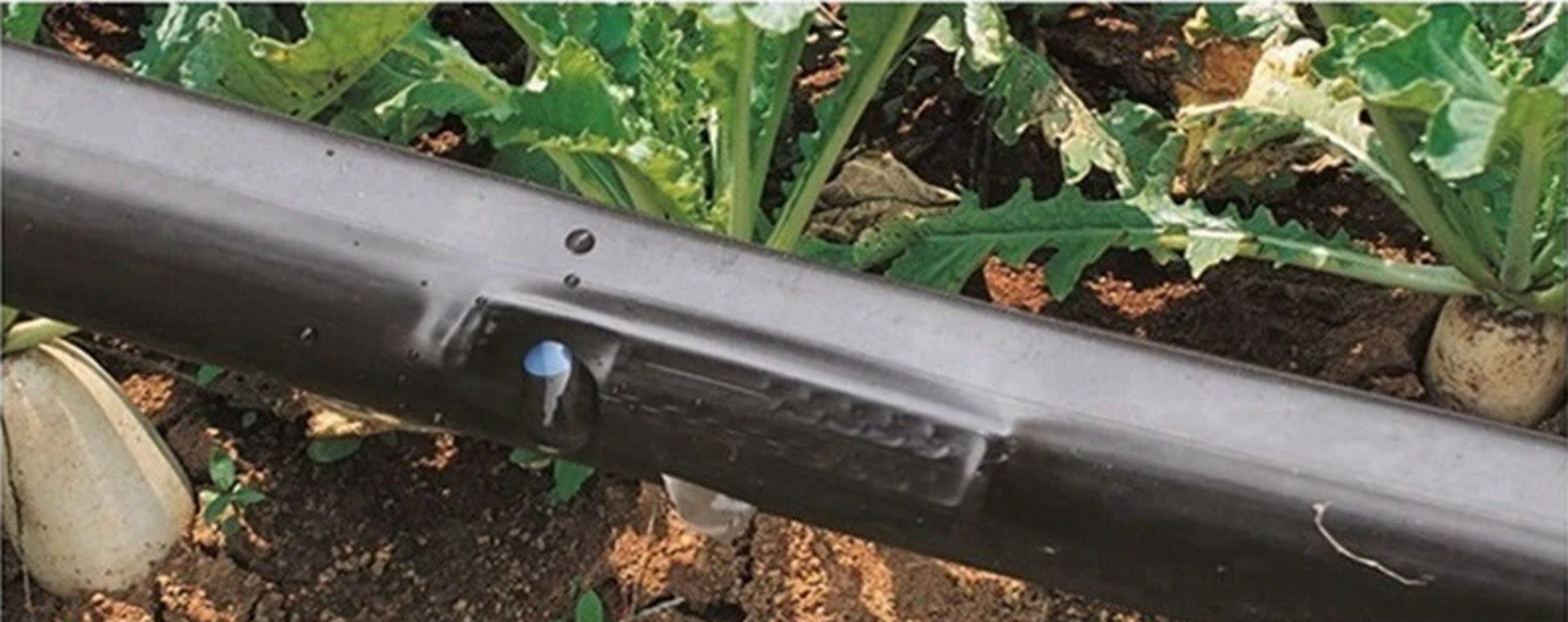 Drip Tape irrigation | Etsy