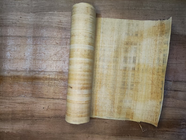 5 Papyrus Scrolls Blank Handmade Egyptian Papyrus Scrolls Papyrus ...