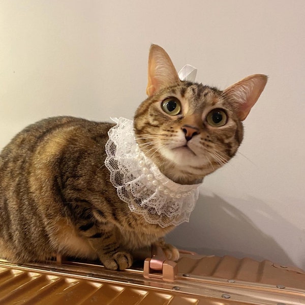 Antique Lace Collar - Etsy