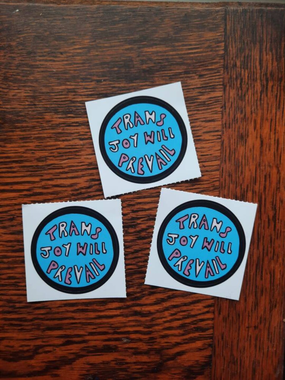 Trans Joy Will Prevail Stickers pack of 4 - Etsy