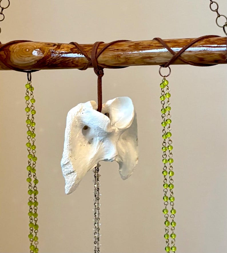 Bone and Branch Suncatcher - Etsy