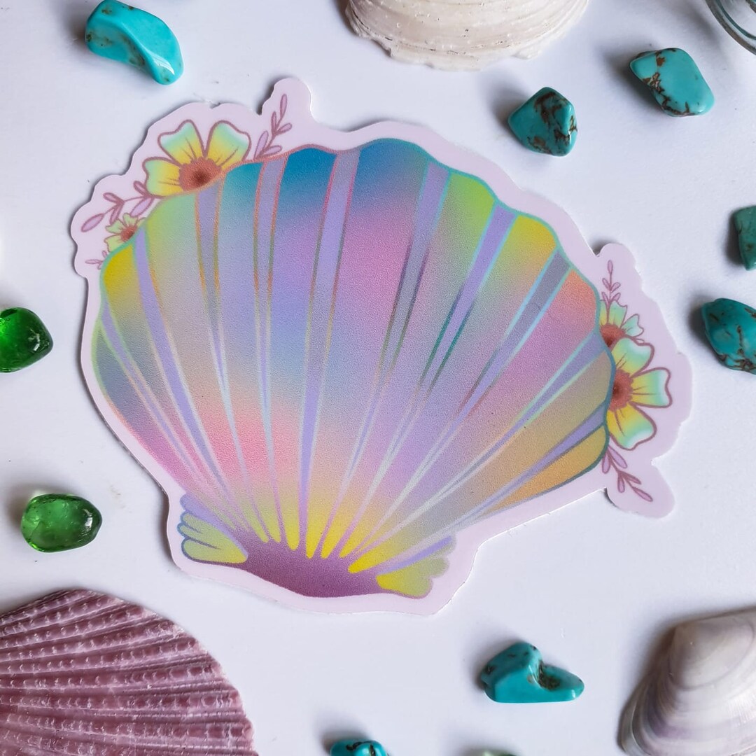 Rainbow Sea Shell - Etsy