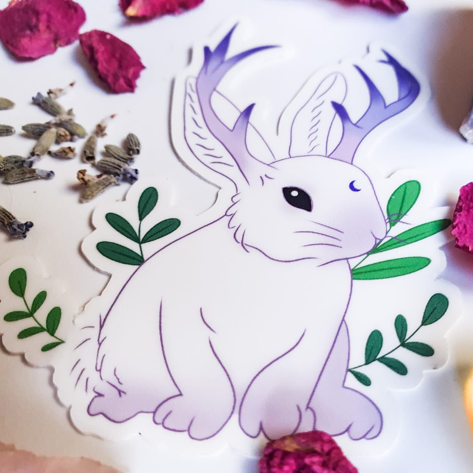 Jackalope Cute Sticker / Mythical Creature - Etsy