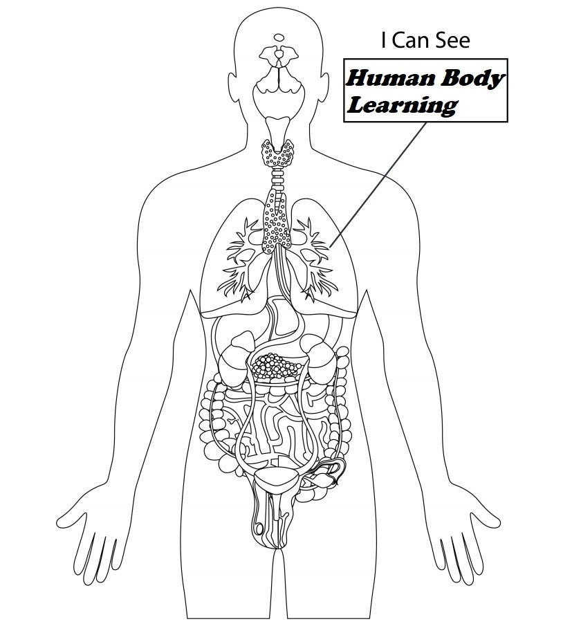 Learn the Human Body-colouring Pages-learn the Parts of the Human Body ...