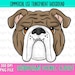 Bulldog School Mascot Doodle Clipart PNG Digital Design Bulldog Hand ...
