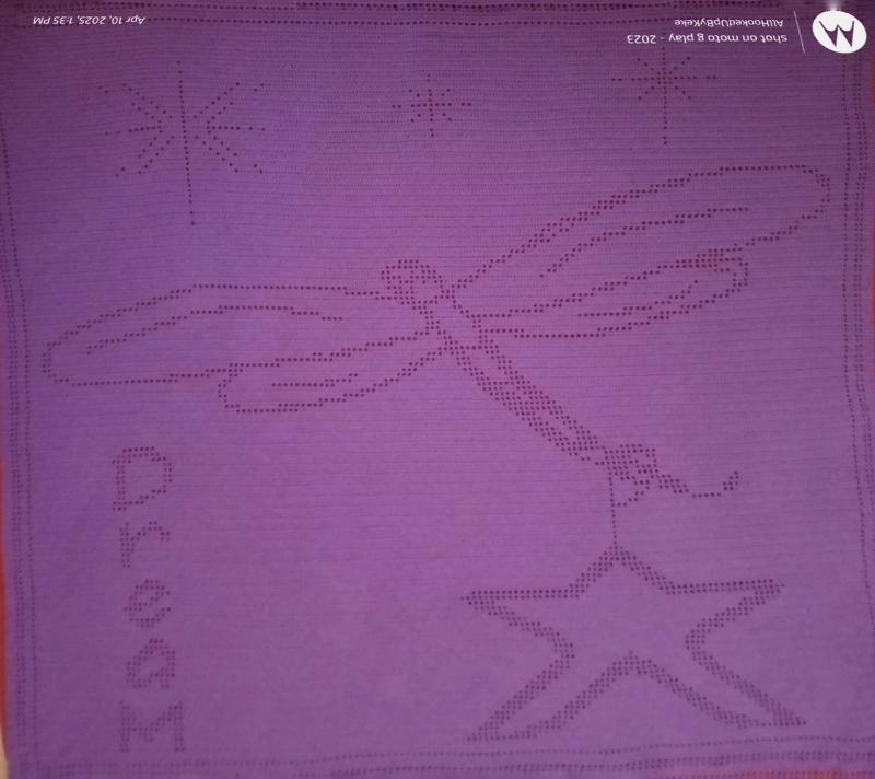 Filet Crochet Pattern Dragonfly Dream Blanket - Etsy