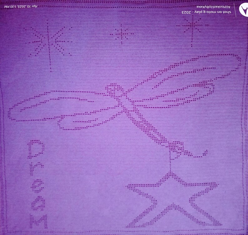Filet Crochet Pattern Dragonfly Dream Blanket - Etsy
