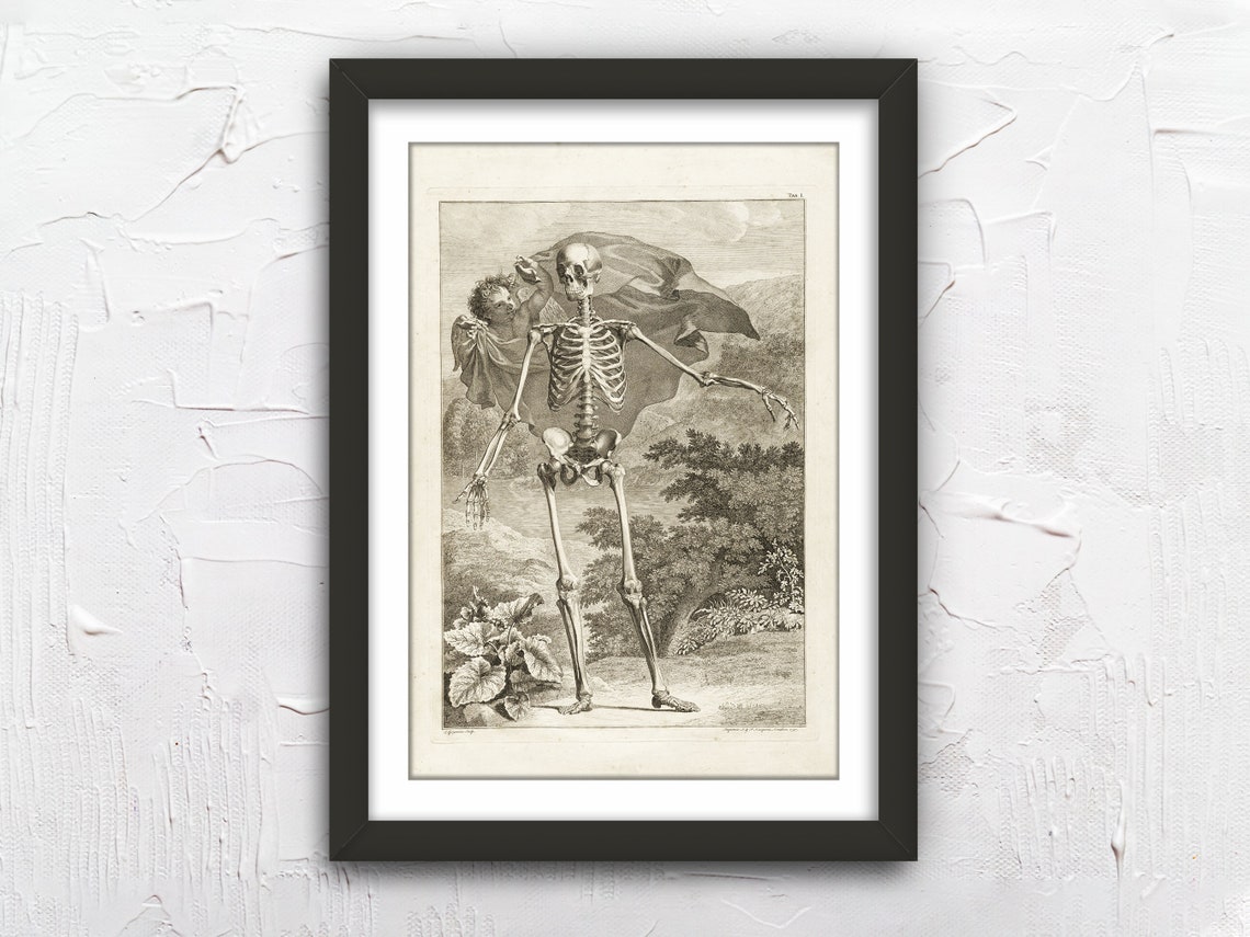 Vintage Skeleton Plate, Antique Skeleton Poster. Medical Student Gift ...