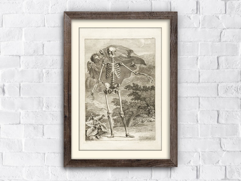 Vintage Skeleton Plate, Antique Skeleton Poster. Medical Student Gift ...