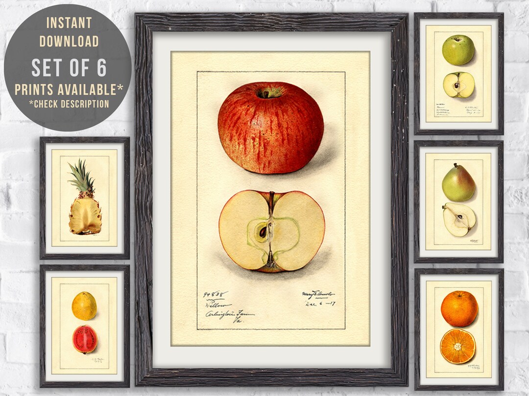 Digital Download, Fruits Watercolor Set of 6 Fruits Print, Fruits Wall ...