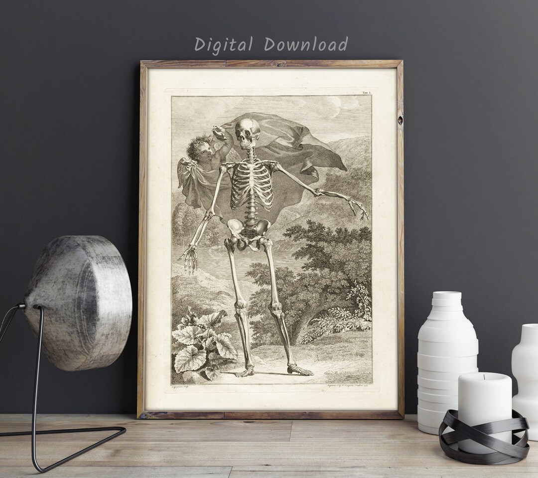 Vintage Skeleton Plate, Antique Skeleton Poster. Medical Student Gift ...