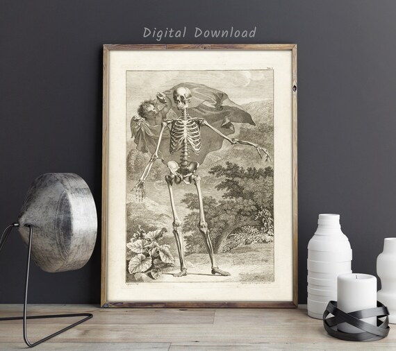 Vintage Skeleton Plate Antique Skeleton Poster. Medical - Etsy