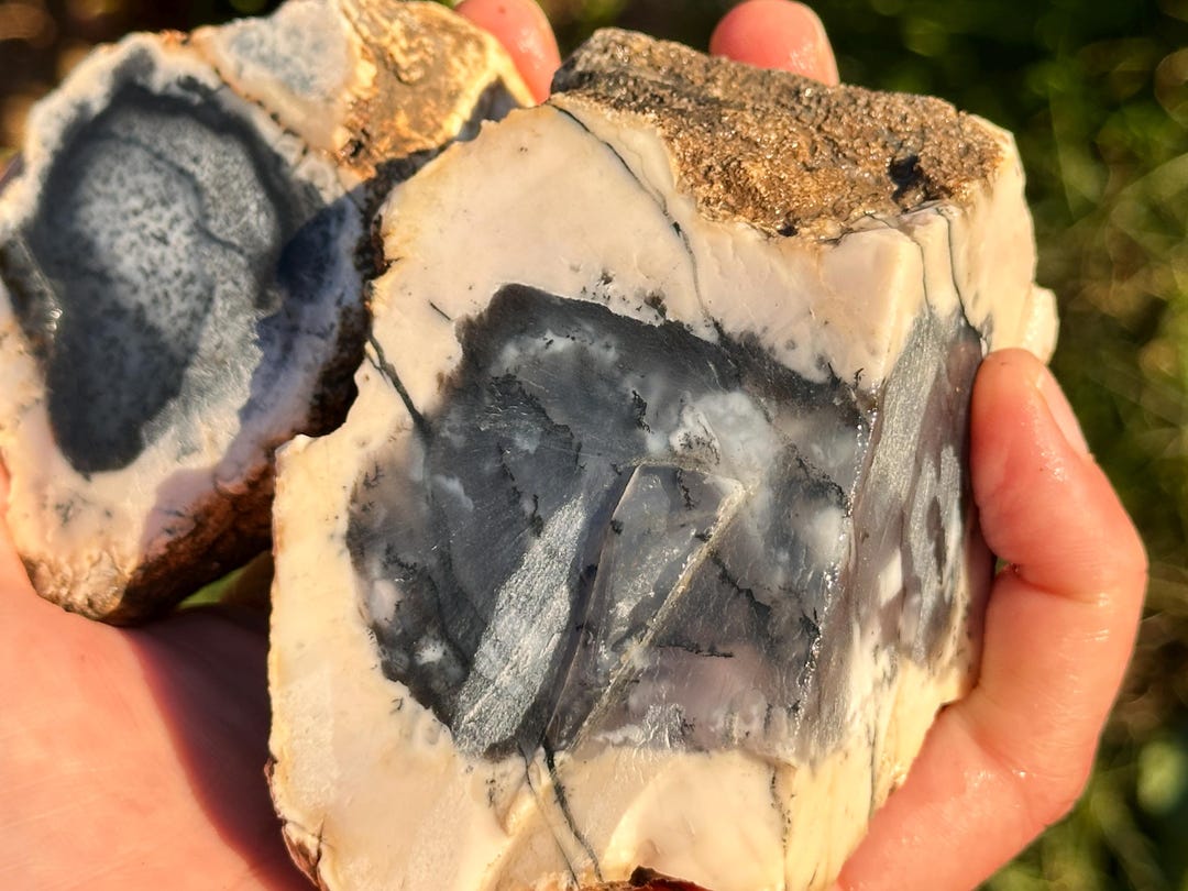 Dendritic Agate Rough Stone Natural Gemstone for Collections or Jewelry ...