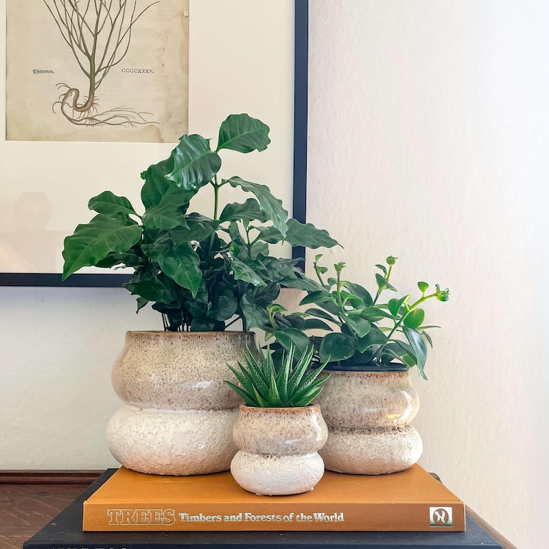 Ceramic Pot Sculptural - Etsy