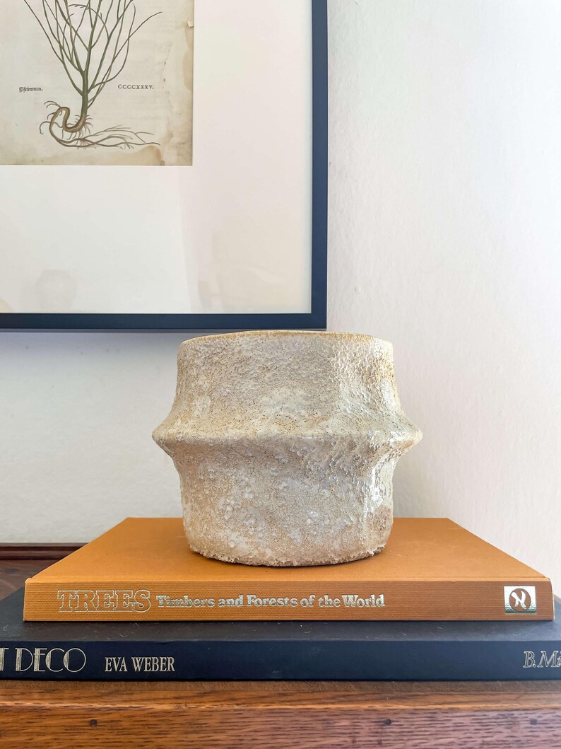 Ceramic Plant Pot Set of 3 With Drainage, Rustic Textured Planters ...
