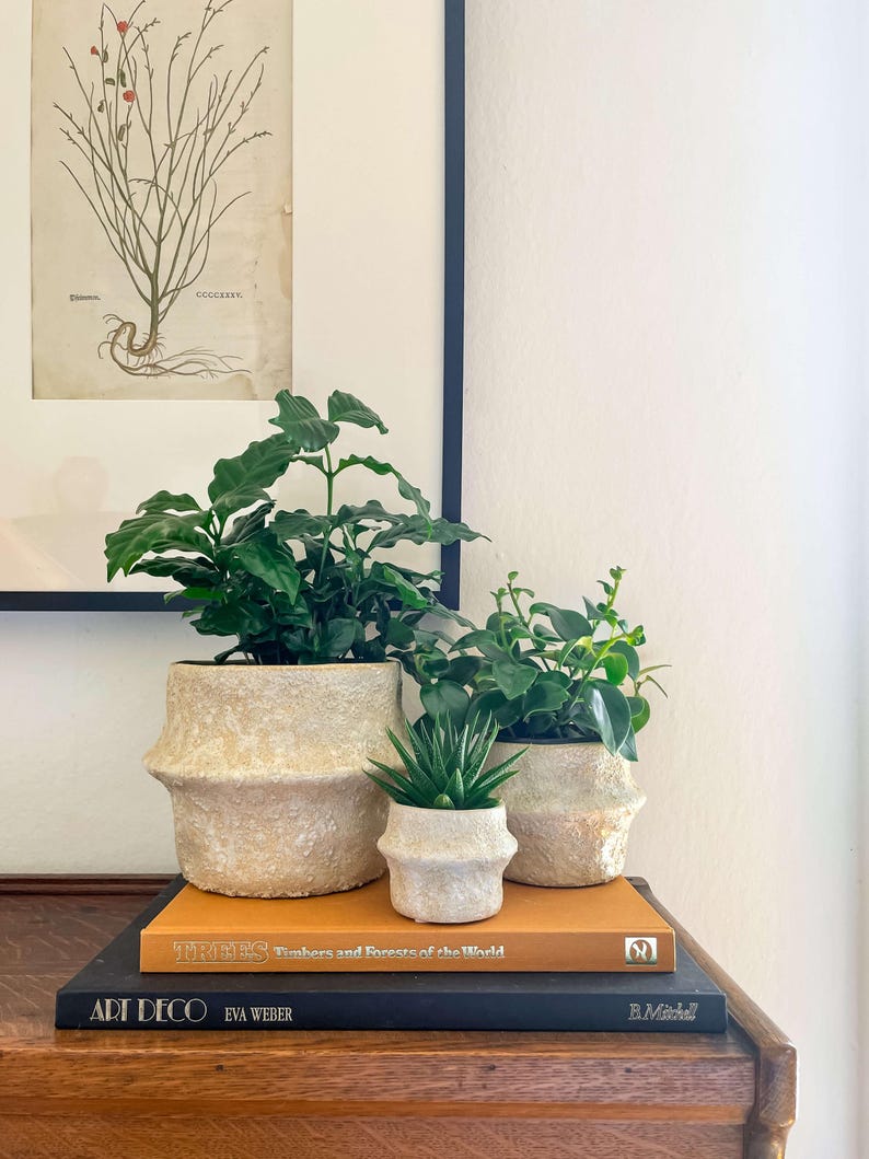 Ceramic Plant Pot Set of 3 With Drainage, Rustic Textured Planters ...