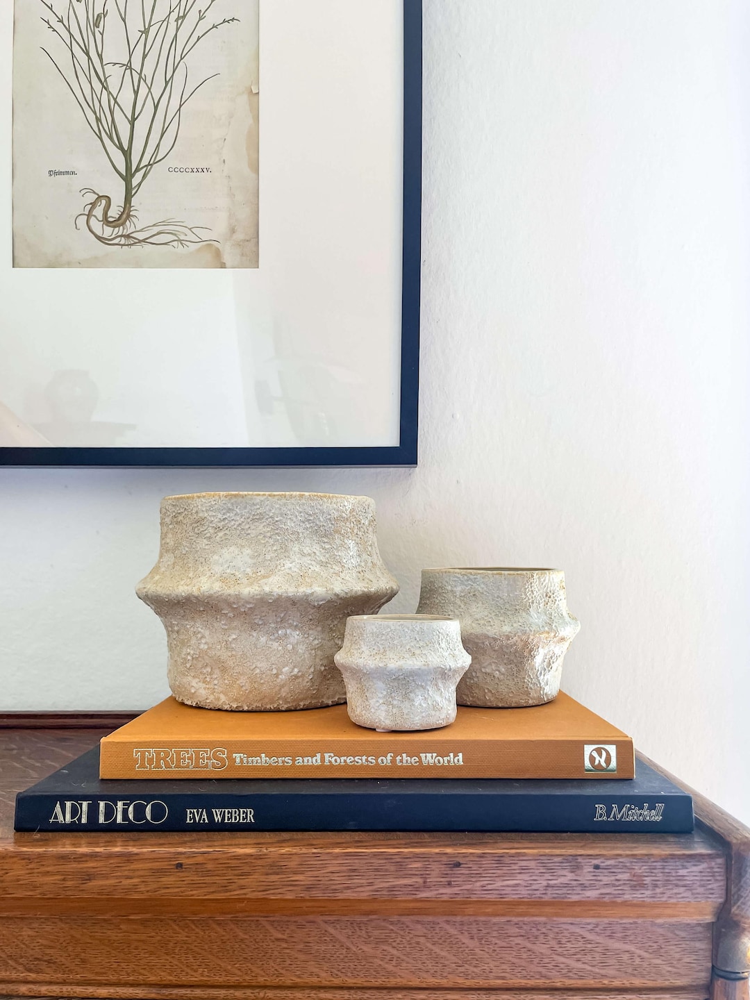 Ceramic Plant Pot Set of 3 With Drainage, Rustic Textured Planters ...