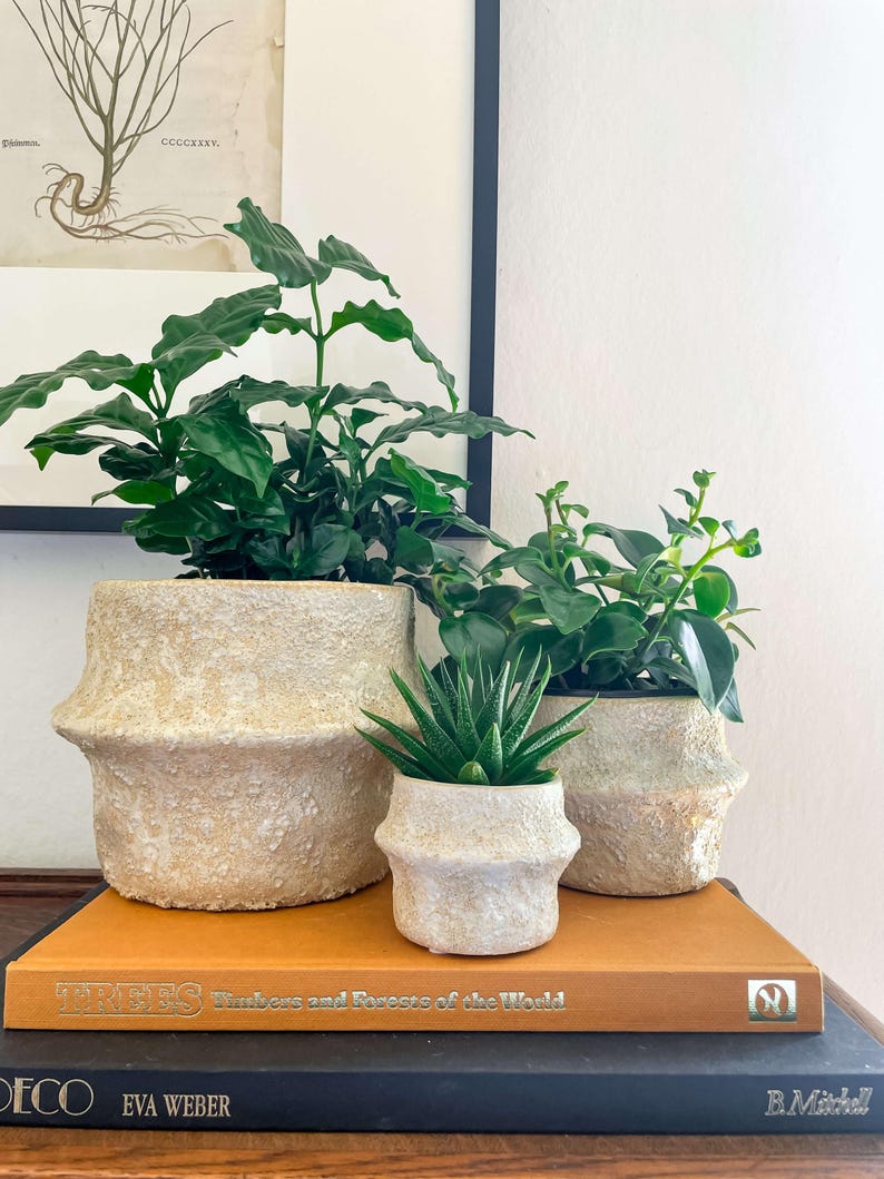 Ceramic Plant Pot Set of 3 With Drainage, Rustic Textured Planters ...
