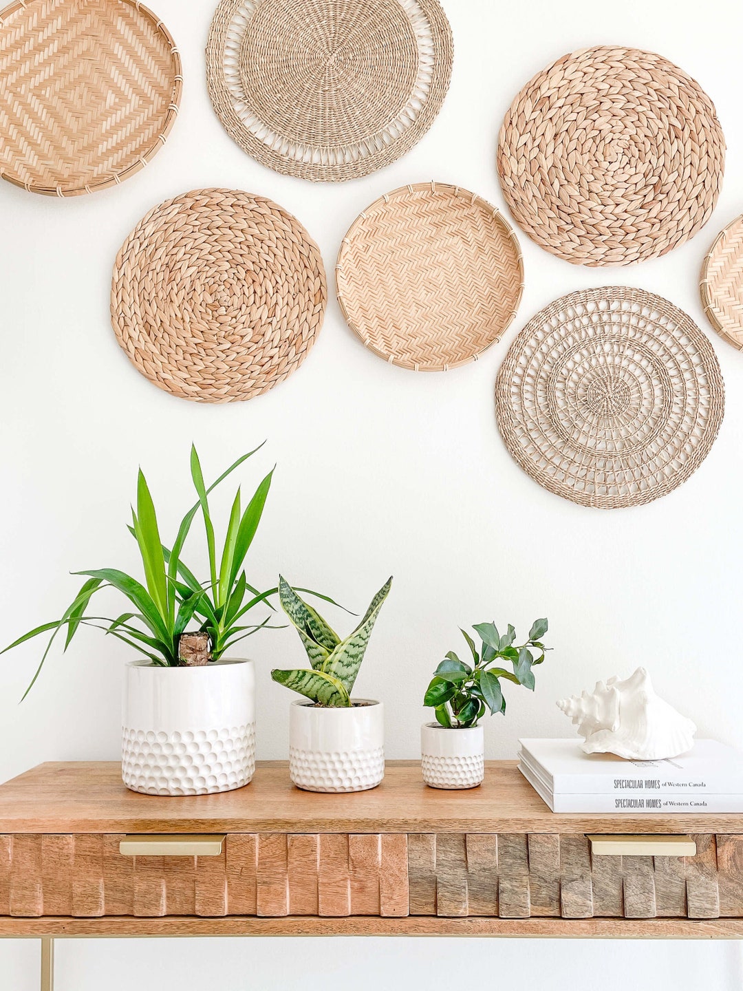 Ava White Ceramic Planters, Glossy White Color Planter, Housewarming ...