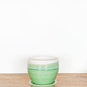 Willow Ceramic Indoor Planters, Glossy Green Color Plant Pot With ...