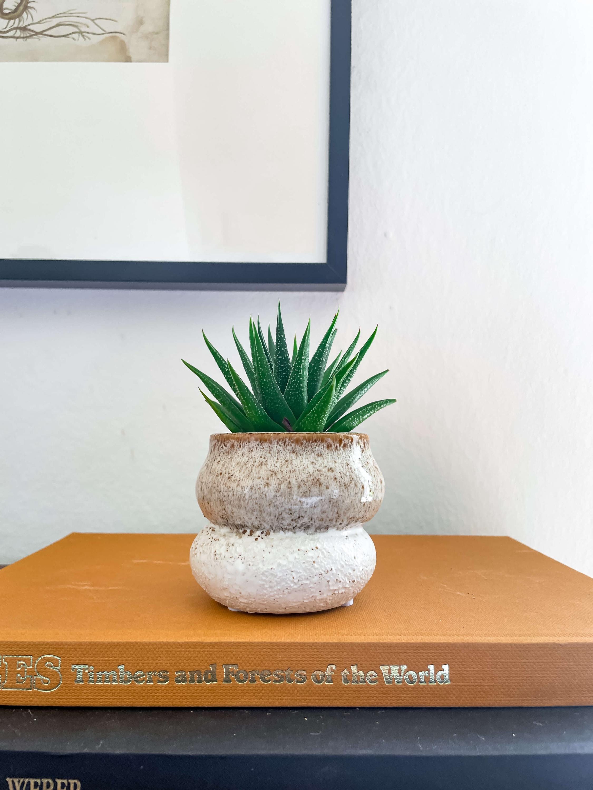 Ceramic Plant Pot Set of 3 With Drainage, Modern Sculptural Planters ...