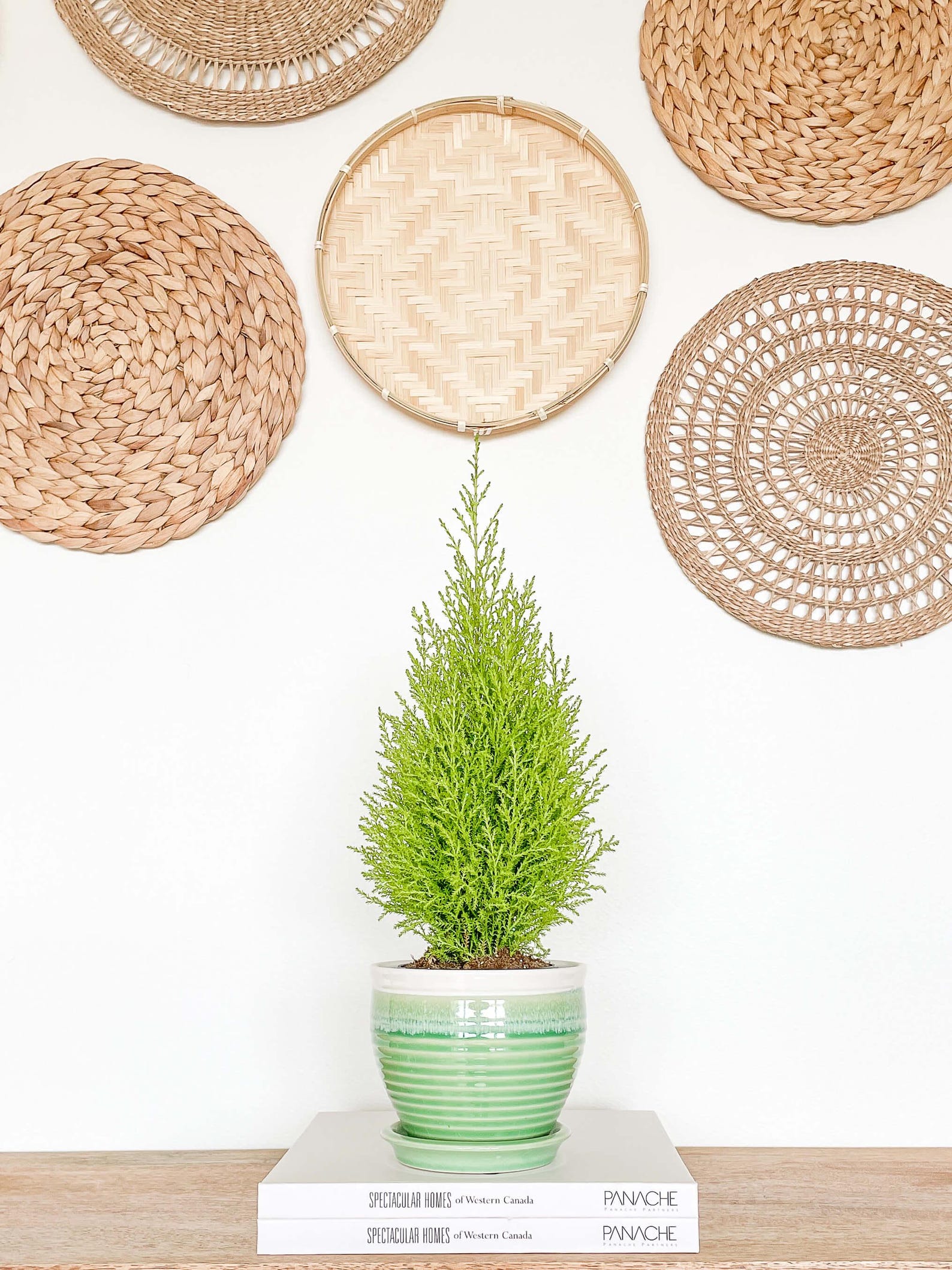 Willow Ceramic Indoor Planters, Glossy Green Color Plant Pot With ...