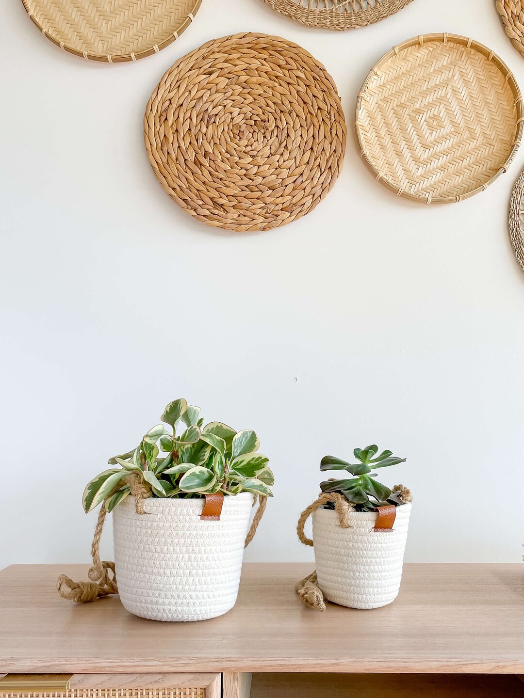 Bianca Cotton Rope Hanging Planter, Indoor Planter, Woven Rope Hanging ...