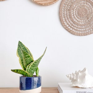 Azura Ceramic Indoor Planters, Deep Blue Color Planter Pot ...