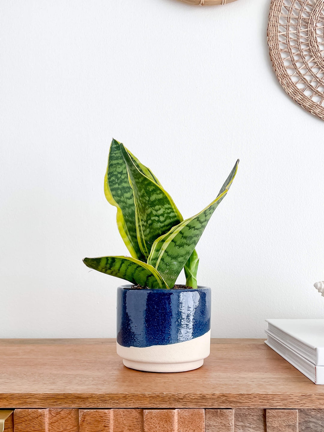 Azura Ceramic Indoor Planters, Deep Blue Color Planter Pot ...