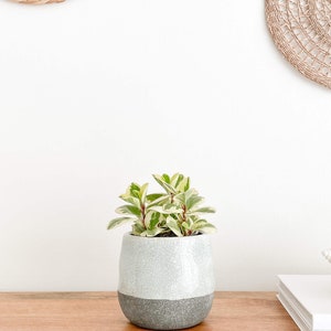 Iris Ceramic Indoor Planter, Light Blue Color Planter Pot, Housewarming ...