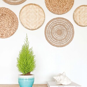 Lia Ceramic Indoor Planters, Glossy Sky Blue Color Plant Pot With ...